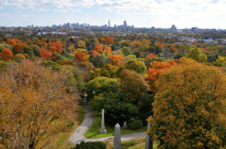 7 Places To See Fall Foliage In/Around Boston [10/09/18]
