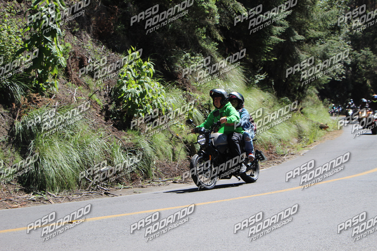 IMG 3616 wm 30380 5 watermarked — Postimages