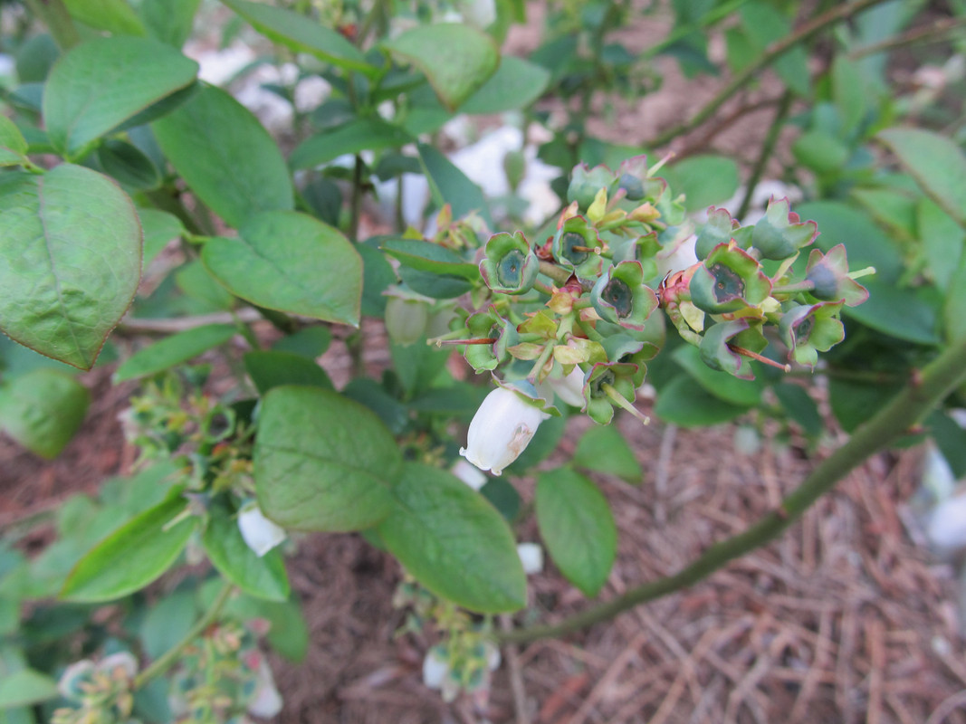 IMG 1941 — Postimages