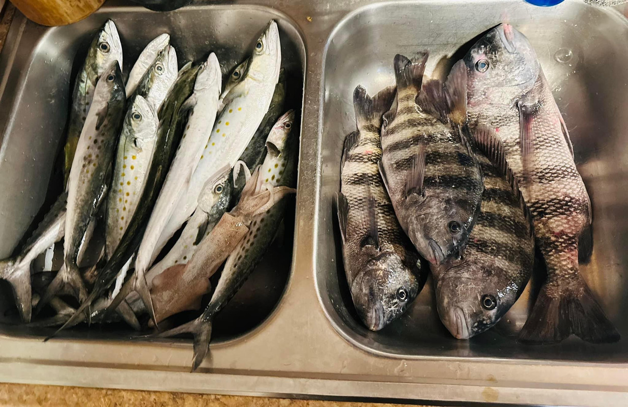 IMG 5335 — Postimages