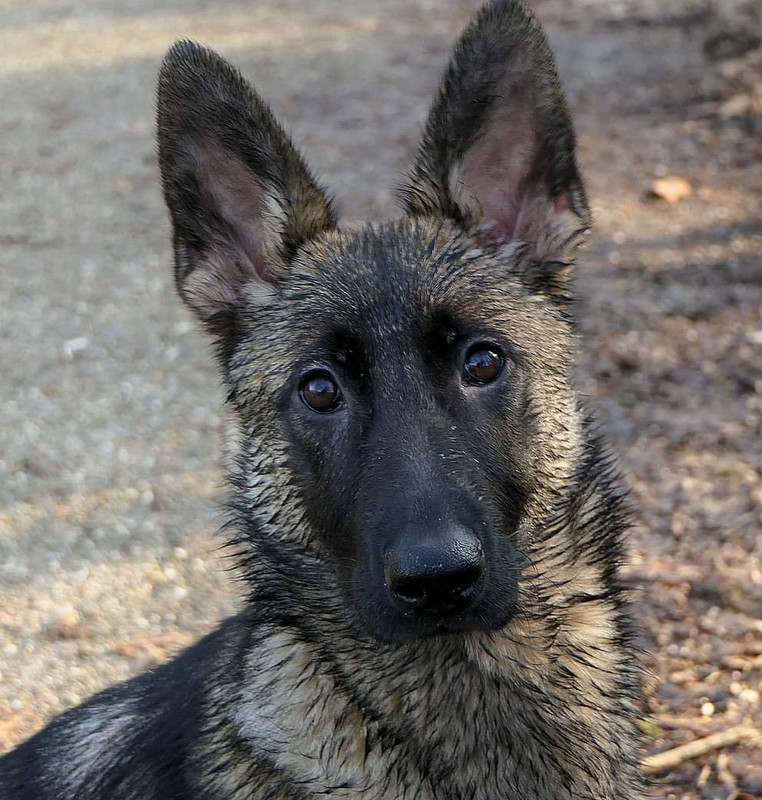 IMG 7840 — Postimages