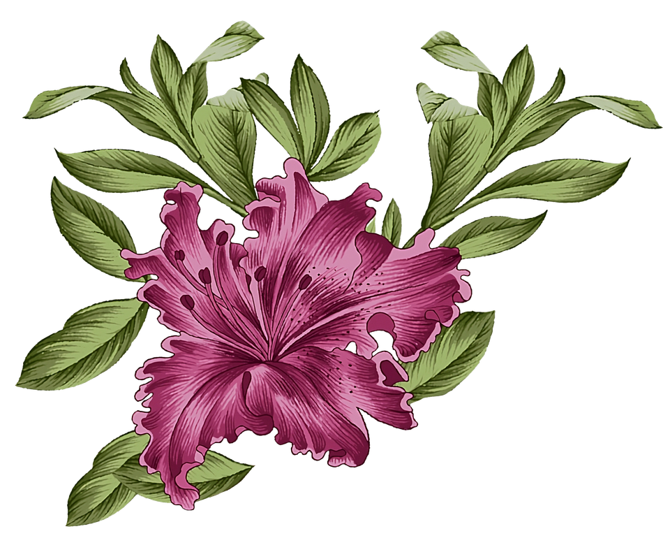 Flower — Postimages