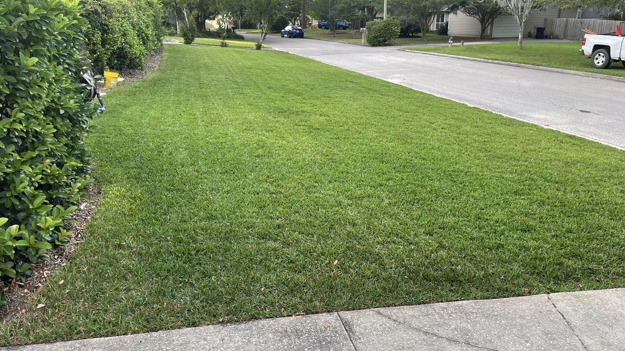 F0567816 F9 FB 4473 A52 A C49 A5 C8 F3 C10 — Postimages