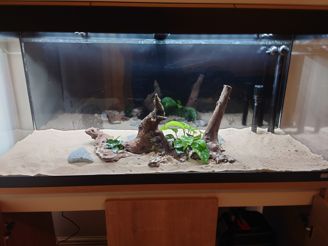 DSC 0242 — Postimages