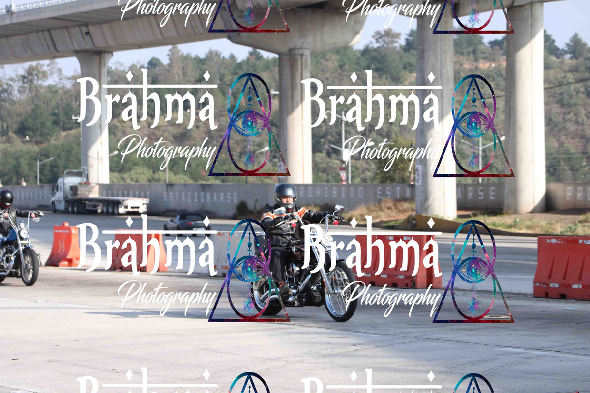 IMG 0331 — Postimages