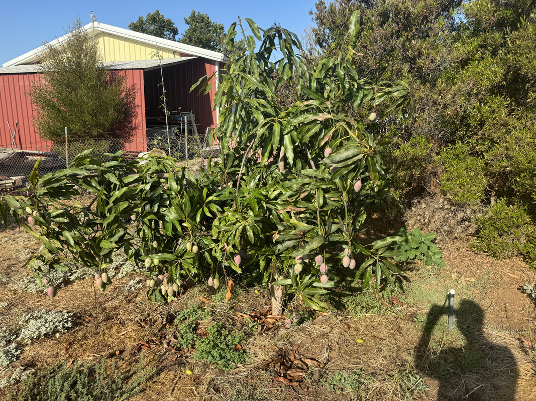 IMG 4032 — Postimages