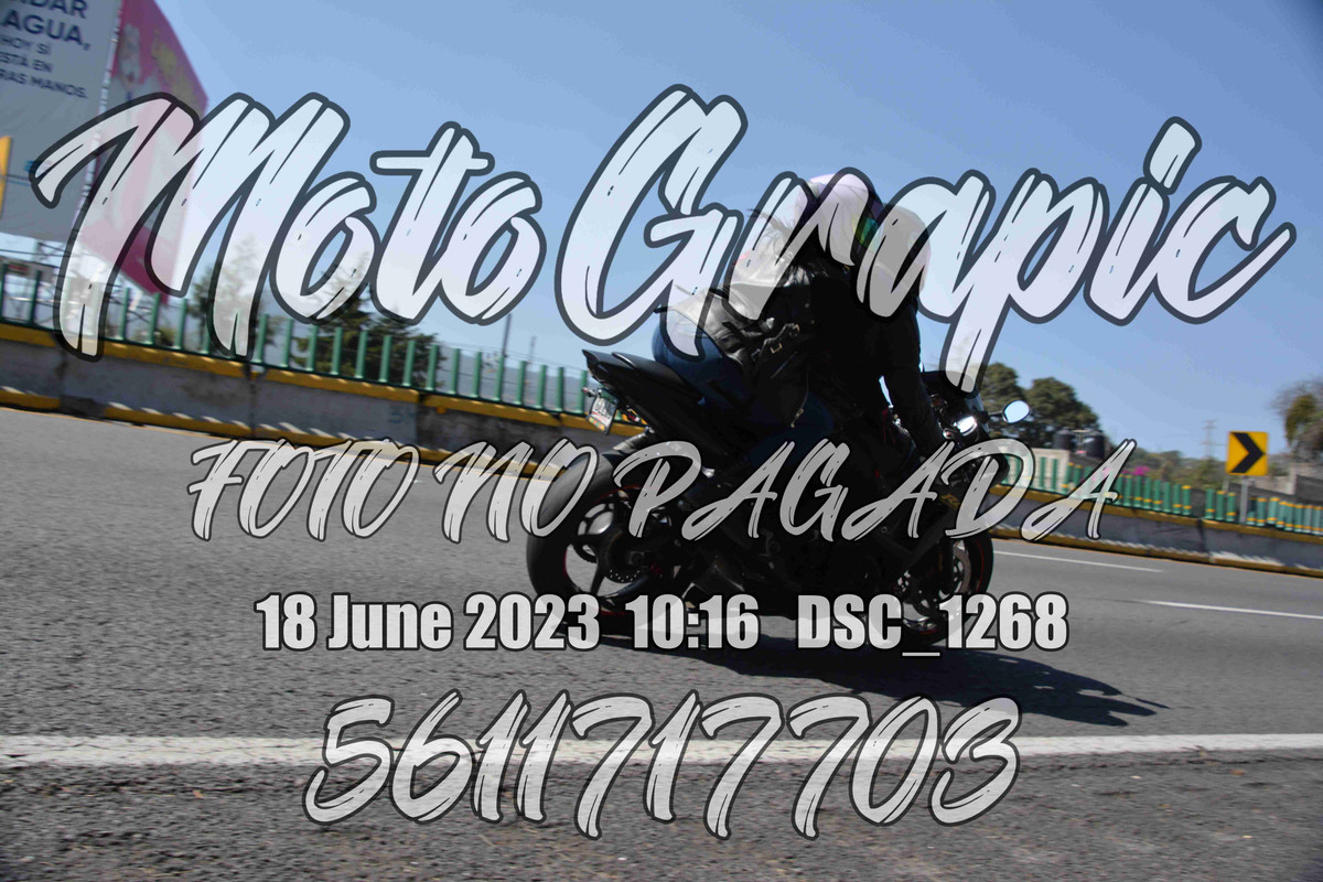 motgr DSC 1268 — Postimages