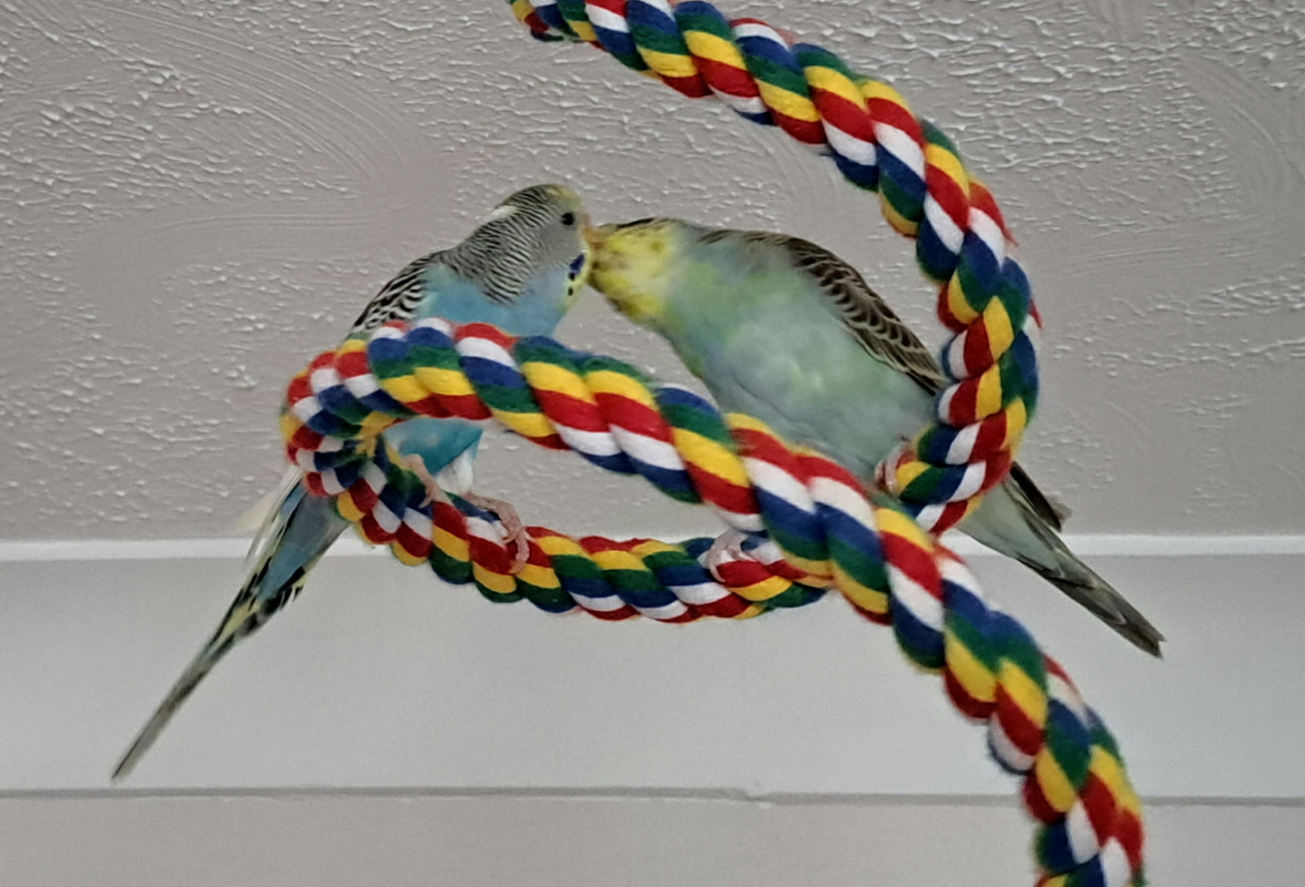 20230415 120542 — Postimages