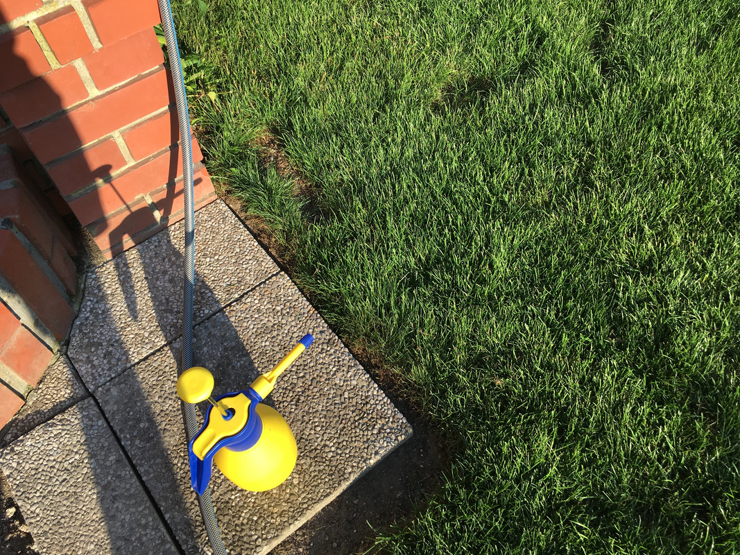 IMG 2627 — Postimages