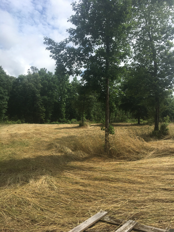 6 BFCF107 A2 C6 4477 A5 D2 C0 C3 E723 D86 D — Postimages