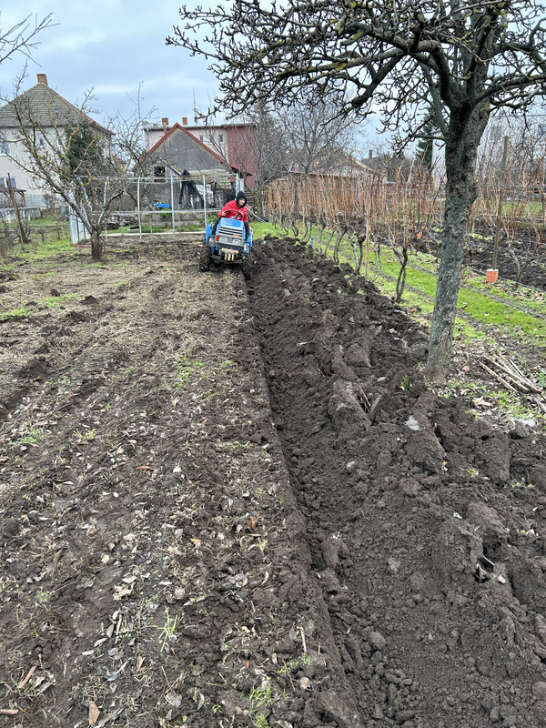 IMG 0837 — Postimages