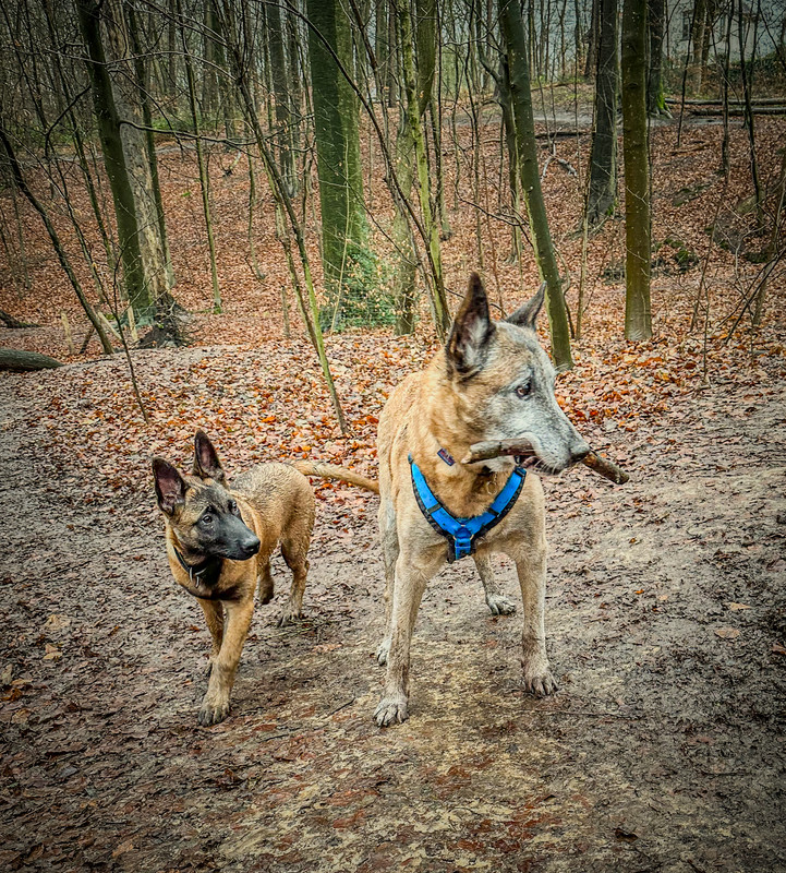 IMG 2192 — Postimages