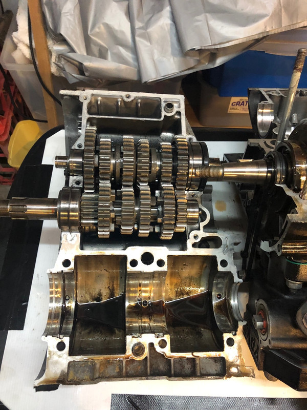 Case4 — Postimages