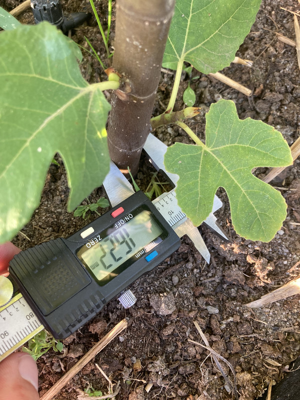 IMG 5609 — Postimages