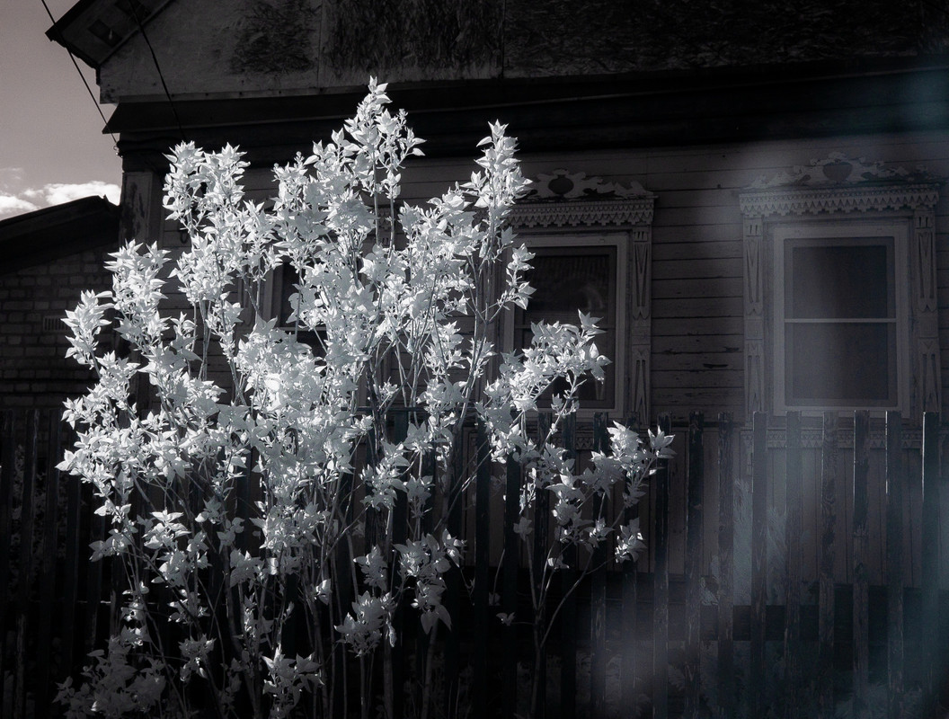 0067 2025 05 08 DSC01314 — Postimages