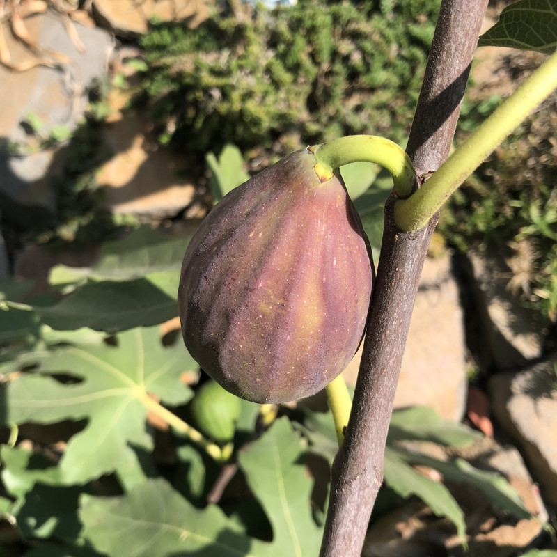 1713 B834 5 C59 48 BC A4 BB 6 EC484 F8 DD71 — Postimages