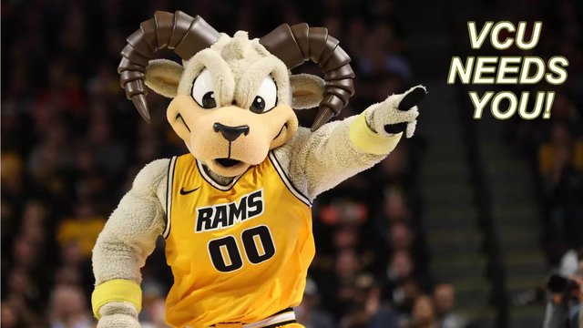 The Official Eradicate the Richmond Spiders in Henrico Thread | Page 11 ...