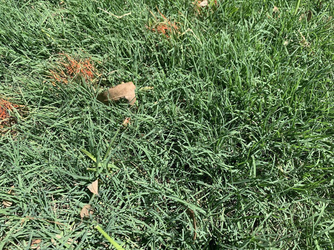 IMG 2332 — Postimages