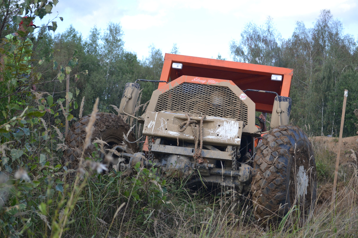 DSC 0168 — Postimages