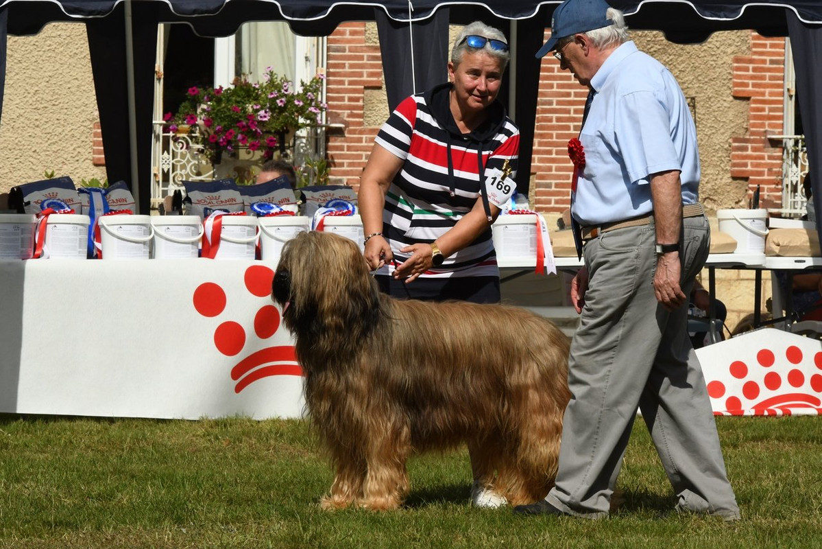 DSC 7380 — Postimages