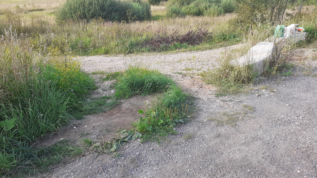 20200805 173030 — Postimages