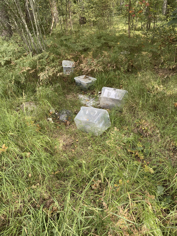 05 EE2507 30 A6 4 C15 A085 8339151 AE0 B1 — Postimages