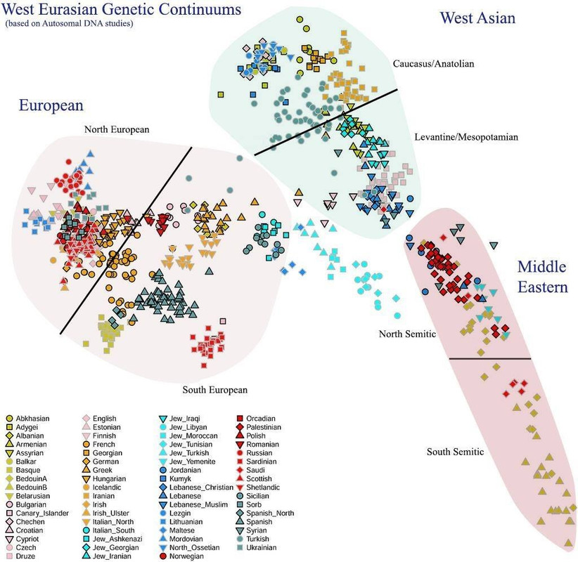 DNA of 'West Eurasian' people in 1 overview according to the studies of ...