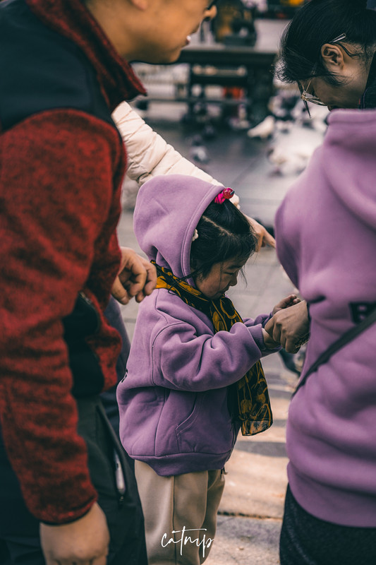 IMG 3697 — Postimages