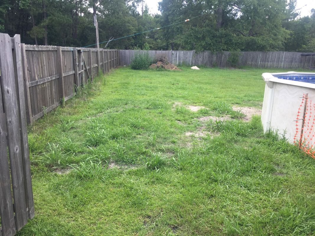 South side back yard — Postimages