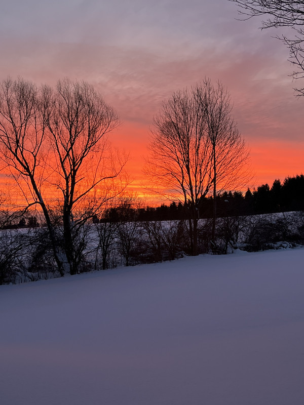 IMG 0675 — Postimages