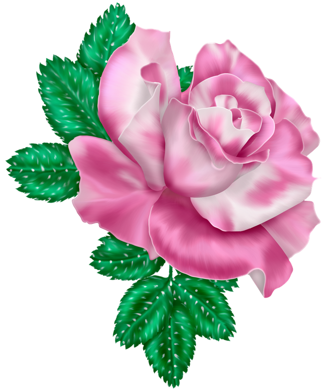 MMD DS Homecoming Blog Train Sept2024 flower 10 — Postimages