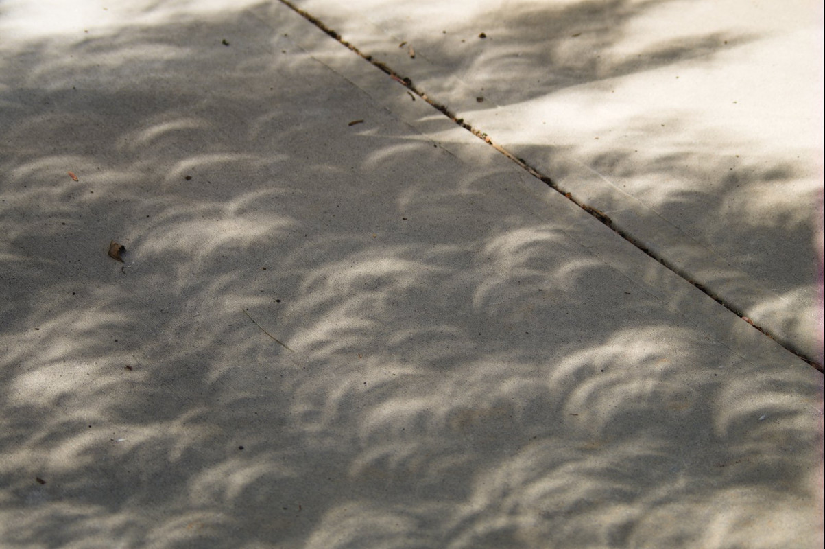 Eclipse leaves shadow 2 — Postimages