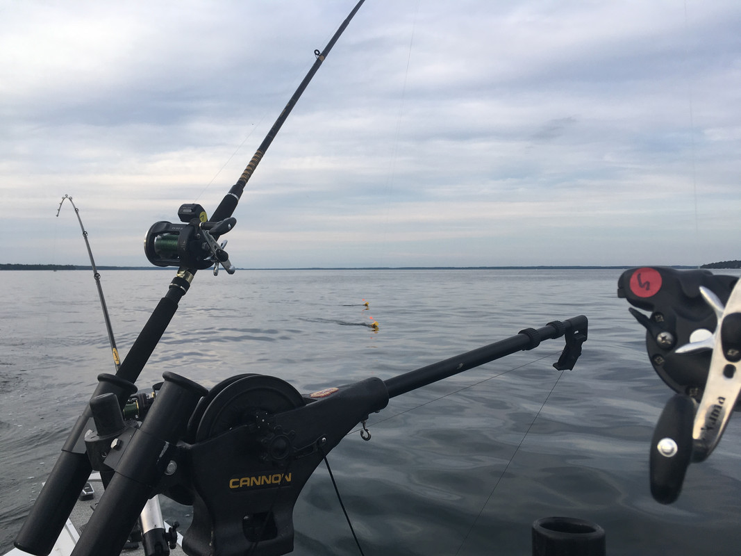 IMG 2193 — Postimages