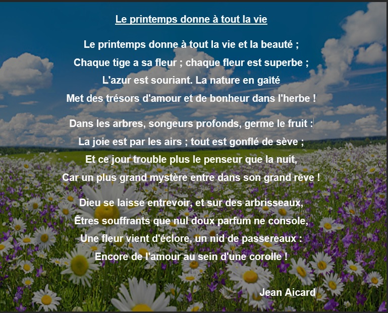 7 poèmes sur le printemps - Twinkl