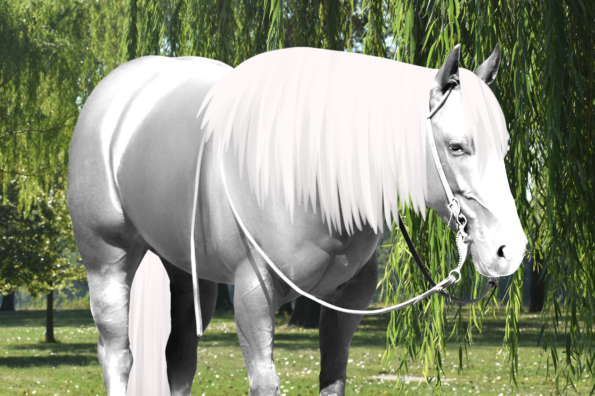 IMG 4615 — Postimages