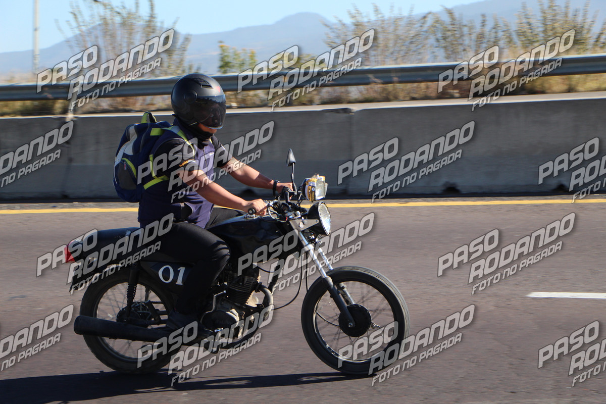 IMG 0374 wm 2435134 watermarked — Postimages