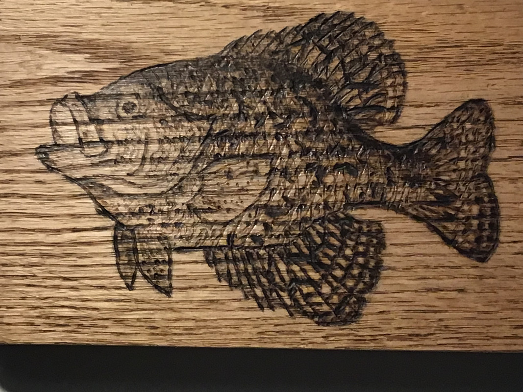 IMG 3567 — Postimages