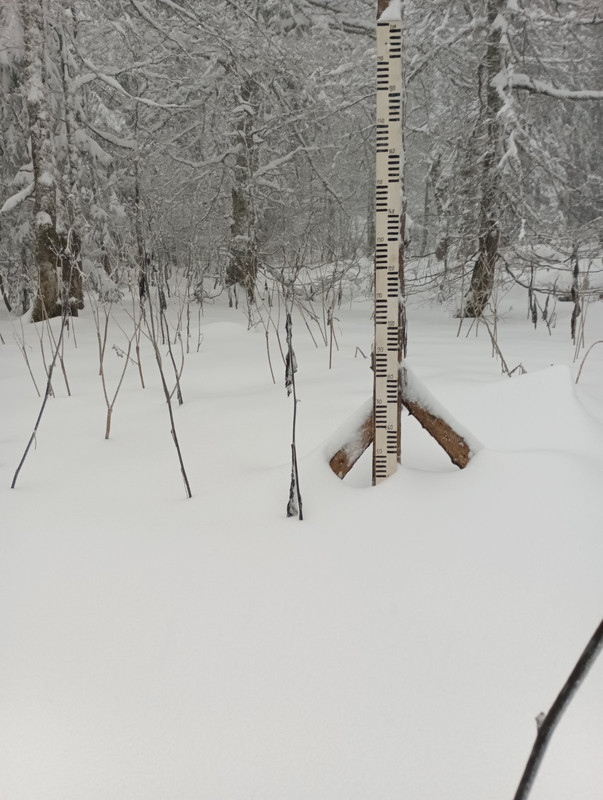 IMG f7a482a2f4f8e65dc82e2b1631ea25df V — Postimages