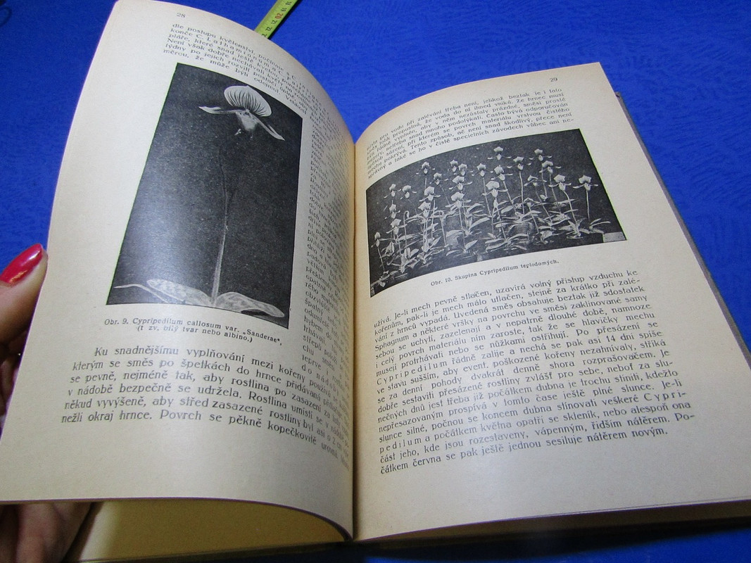 IMG 1841 — Postimages