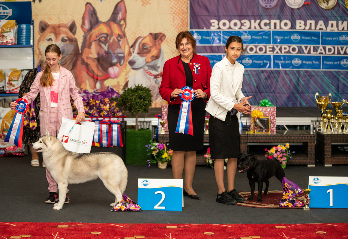 02 1168 — Postimages