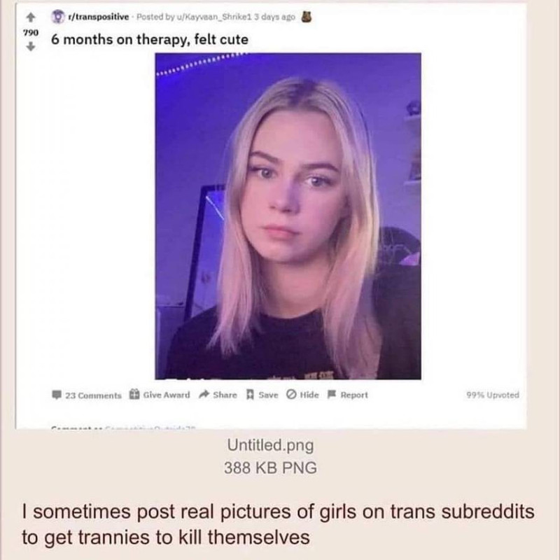 IMG 5788 — Postimages