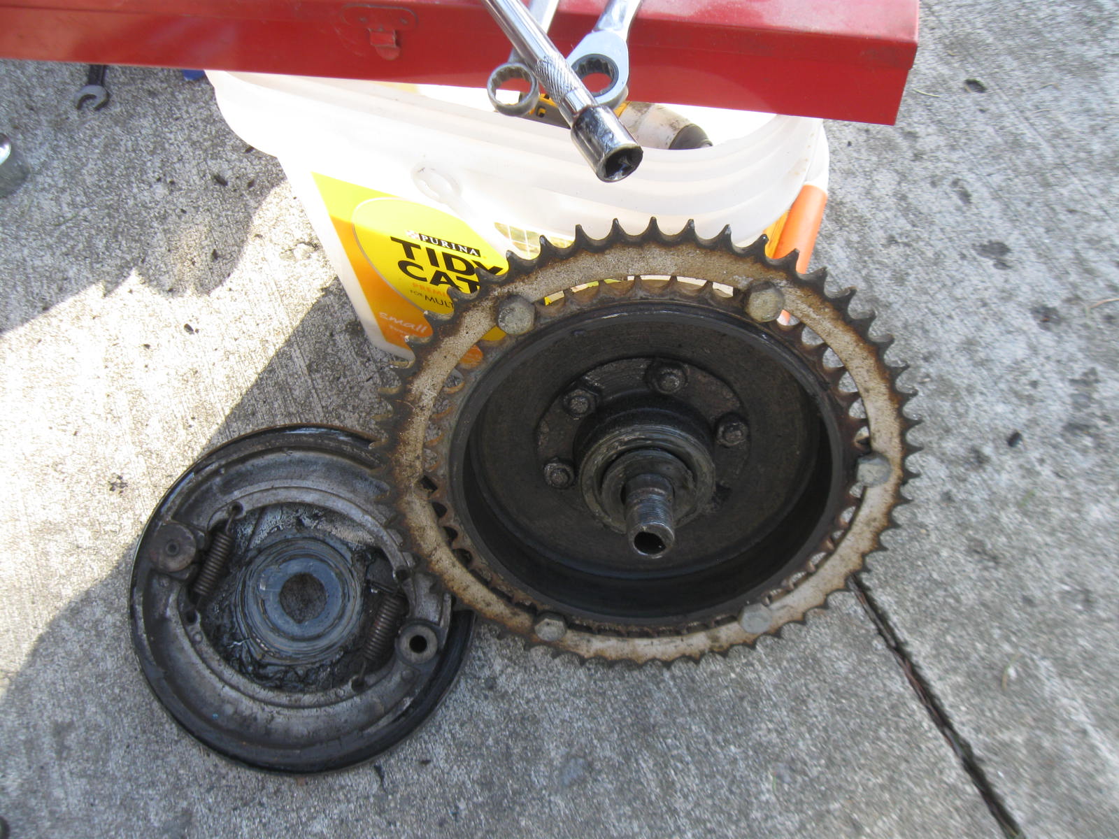 Rear Drum — Postimages