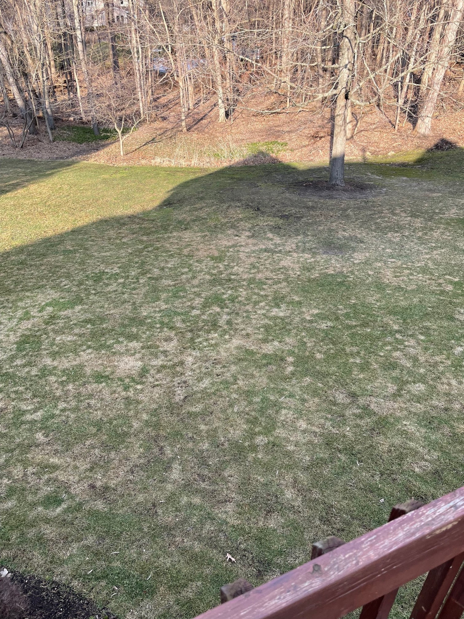 IMG 1694 — Postimages