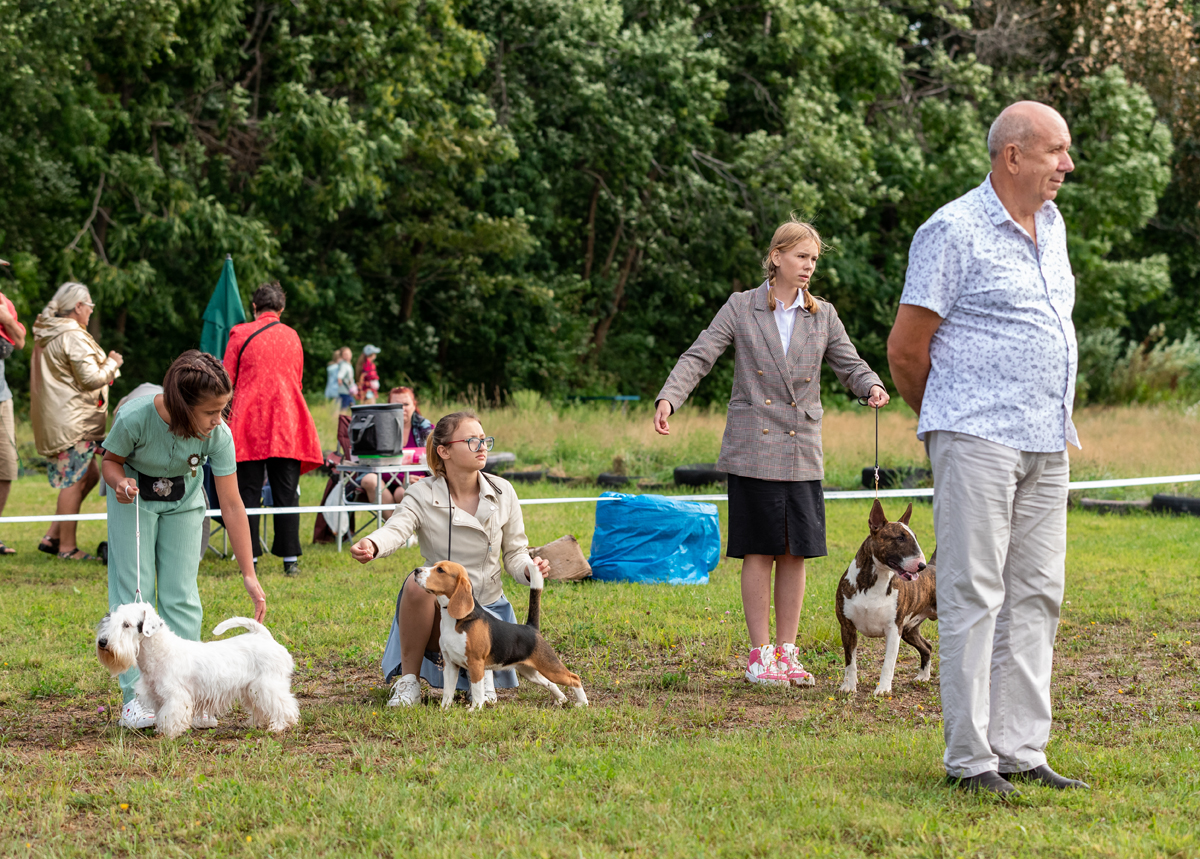 КЮХ 37 — Postimages