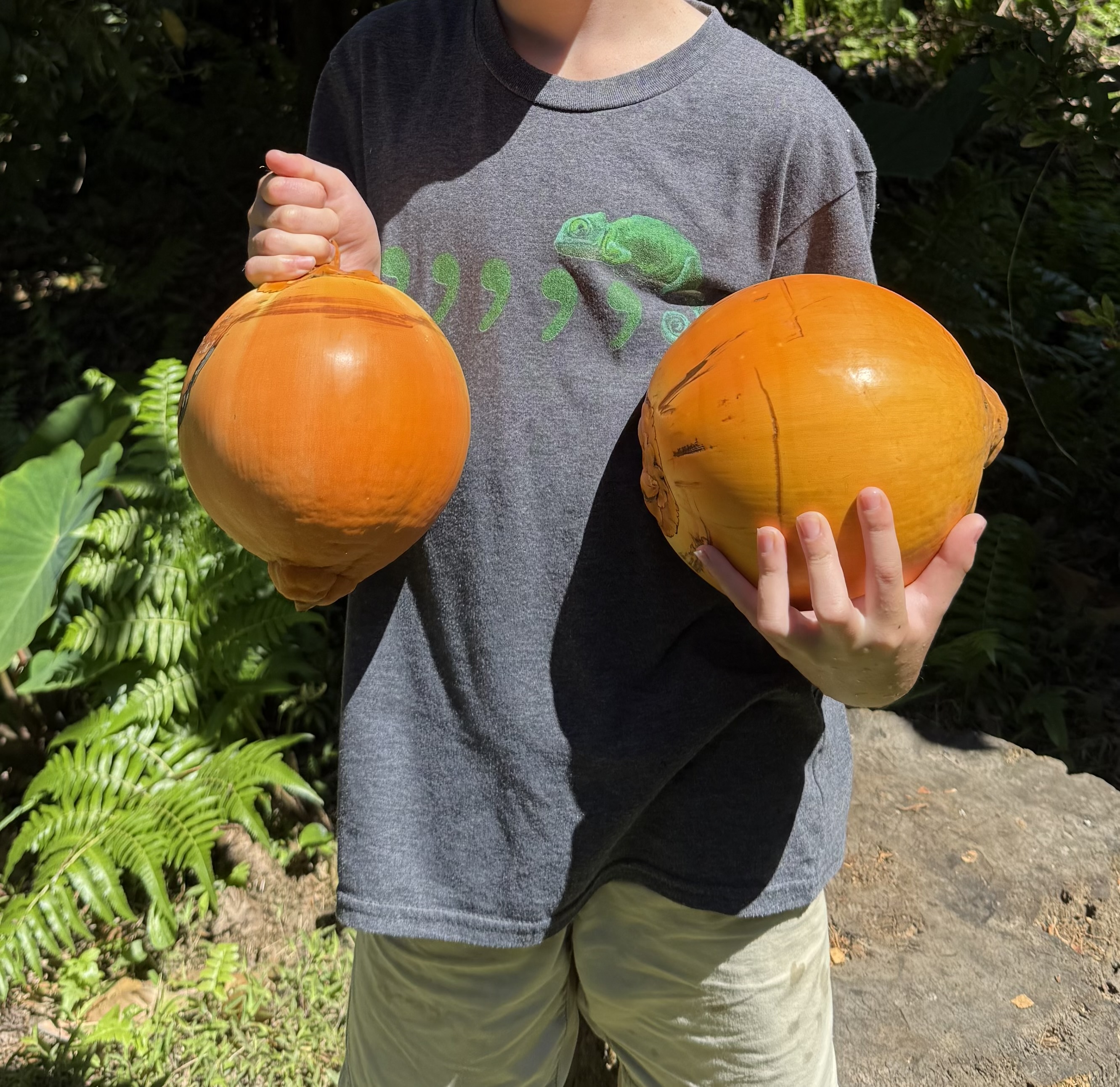 Full Size Render — Postimages