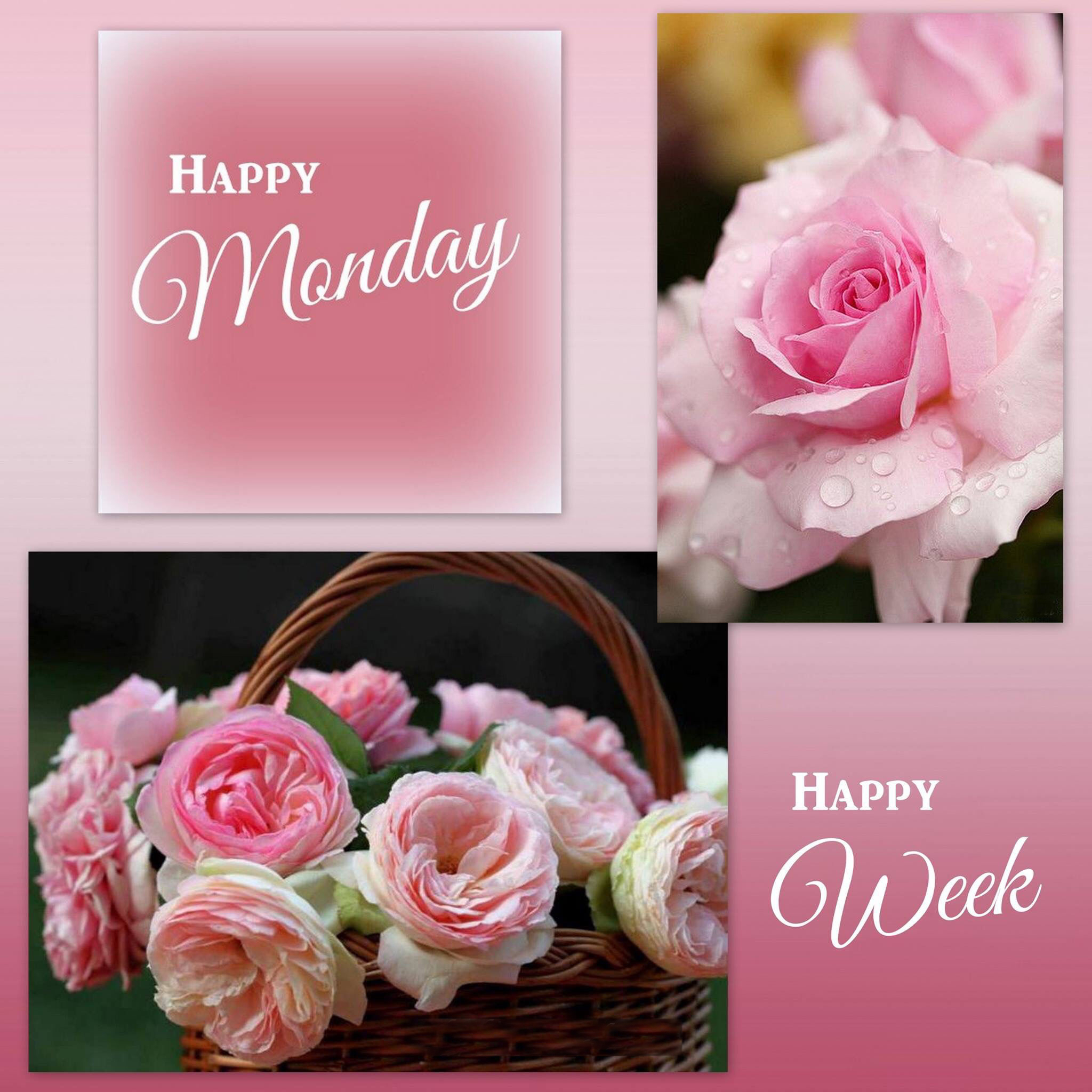 283474 Happy Monday Happy Week — Postimages