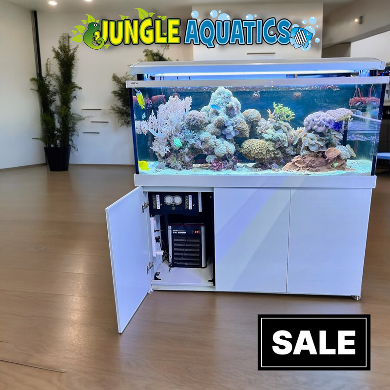 [FS] - Red Sea Max 650 Aquarium | Marine Aquariums South Africa