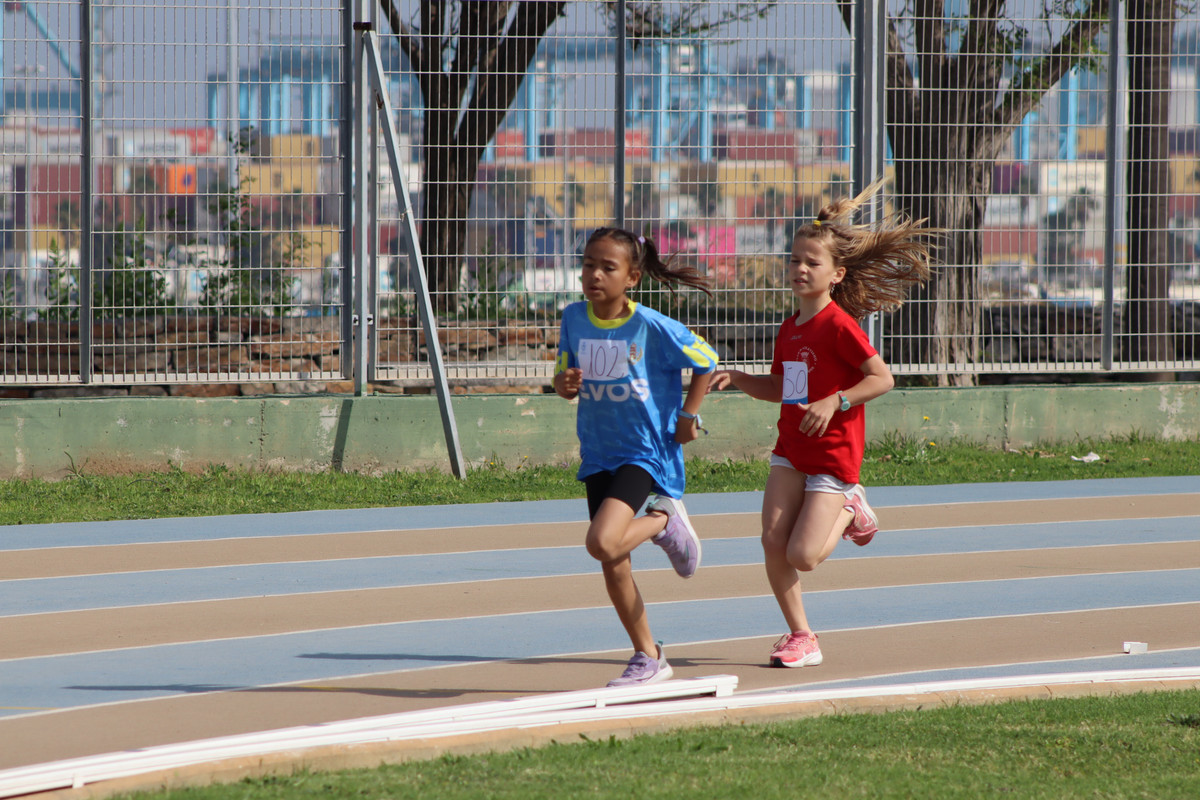 IMG 8367 — Postimages