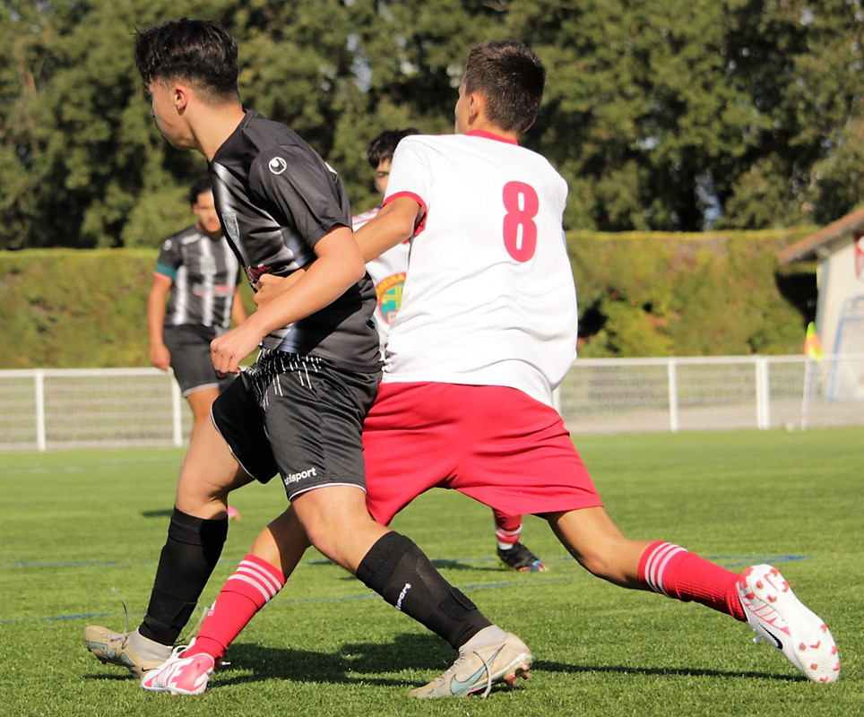 IMG 0153 — Postimages