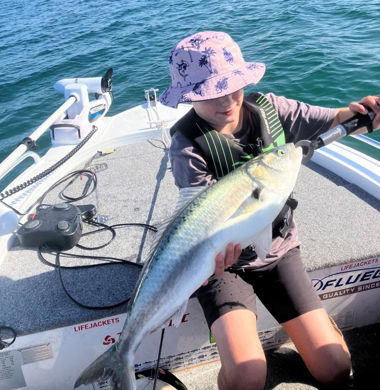 IMG 4244 1a — Postimages